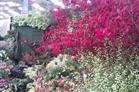 Newent Plant Centre in Ledbury, County Of Herefordshire HR8 2PZ