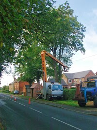 P & P French Tree Services in Asgarby, Lincolnshire NG34 9QE
