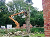 P & P French Tree Services in Asgarby, Lincolnshire NG34 9QE