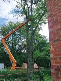 P & P French Tree Services in Asgarby, Lincolnshire NG34 9QE