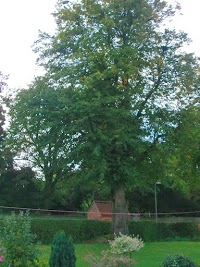 P & P French Tree Services in Asgarby, Lincolnshire NG34 9QE