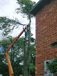 P & P French Tree Services in Asgarby, Lincolnshire NG34 9QE
