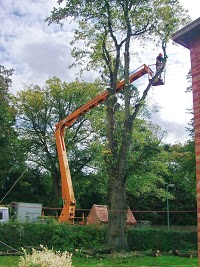 P & P French Tree Services in Asgarby, Lincolnshire NG34 9QE