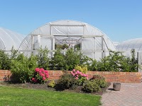Pillaton Garden Centre in Stafford, Staffordshire ST19 5RZ