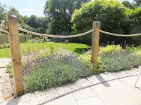 Poison Ivy Design - Garden Design in Farnham, Surrey GU9 8AY