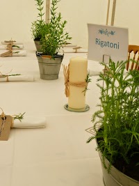 Poison Ivy Design - Garden Design in Farnham, Surrey GU9 8AY