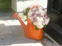 Poison Ivy Design - Garden Design in Farnham, Surrey GU9 8AY