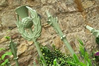 Polley Garden Design in Edinburgh, City Of Edinburgh EH10 7BB
