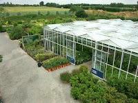 Provender Nurseries in Swanley, Kent BR8 7PS