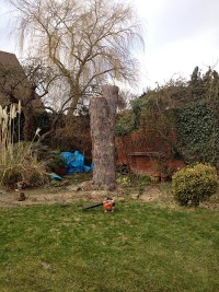 R.S Tree Care in Ditchingham, Suffolk NR35 2RA