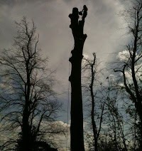 R.S Tree Care in Ditchingham, Suffolk NR35 2RA