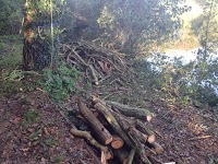 R.S Tree Care in Ditchingham, Suffolk NR35 2RA