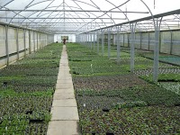 Reighton Nursery in Filey, North Yorkshire YO14 9RT