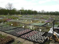 Reighton Nursery in Filey, North Yorkshire YO14 9RT