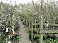 Reighton Nursery in Filey, North Yorkshire YO14 9RT