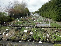 Reighton Nursery in Filey, North Yorkshire YO14 9RT