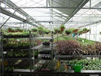 Reighton Nursery in Filey, North Yorkshire YO14 9RT