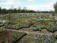 Reighton Nursery in Filey, North Yorkshire YO14 9RT