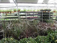 Reighton Nursery in Filey, North Yorkshire YO14 9RT