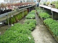 Reighton Nursery in Filey, North Yorkshire YO14 9RT