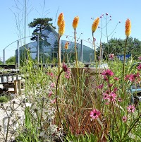 Riverside Garden Centre in Bristol, City Of Bristol BS3 1RX