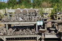 St Peters Garden Centre in Worcester WR5 2NY