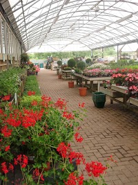 St Peters Garden Centre in Worcester WR5 2NY
