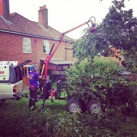 Target Trees in Aylmerton, Norfolk NR11 8QD