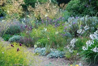 The Beth Chatto Gardens in Colchester, Essex, Essex CO7 7DB