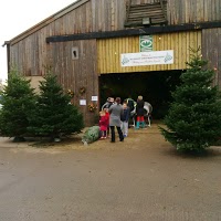 The Billingley Christmas Tree Farm in Little Houghton, Barnsley S72 0JF