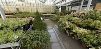 The Gardening Club - Crews Hill in Enfield, Greater London EN2 9BQ