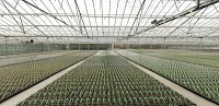 The Gardening Club - Crews Hill in Enfield, Greater London EN2 9BQ