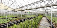 The Gardening Club - Crews Hill in Enfield, Greater London EN2 9BQ