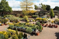 Van Hage in Ware, Hertfordshire SG12 9RP