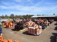 Van Hage in Ware, Hertfordshire SG12 9RP