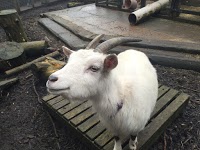 Van Hage in Ware, Hertfordshire SG12 9RP