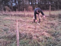 Venture Forestry and Landscaping in Oswestry, Shropshire SY11 2YF