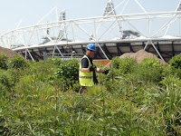 Willerby Landscapes Ltd in Four Elms, Kent TN8 6RN